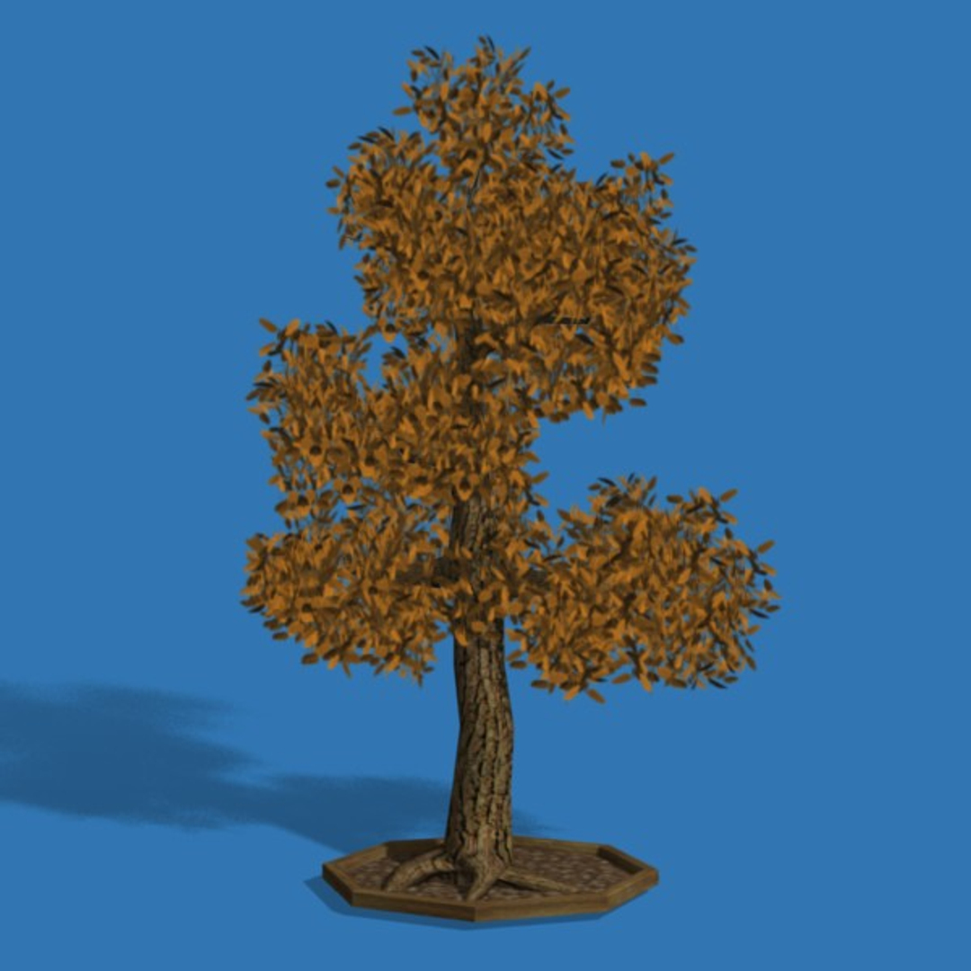 3d model elm tree pl