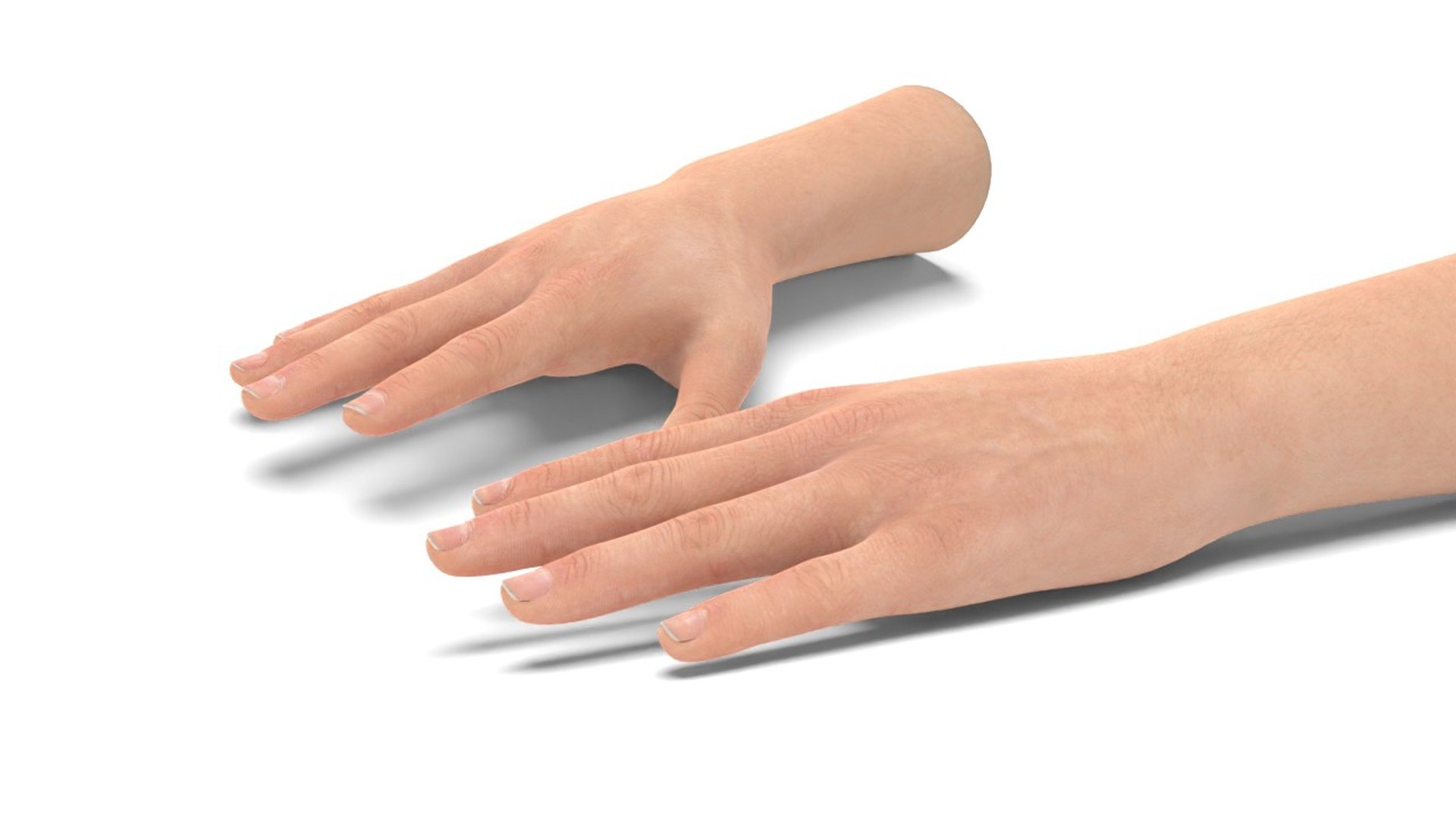 3D Male Rigged Hands - TurboSquid 2144061