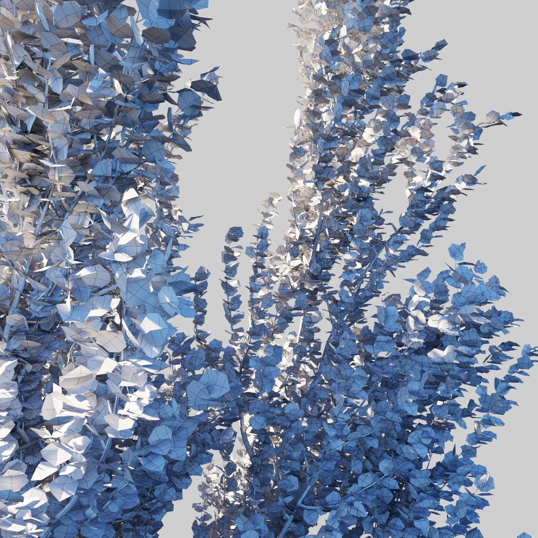 3D Populus Tree Model - TurboSquid 1462004