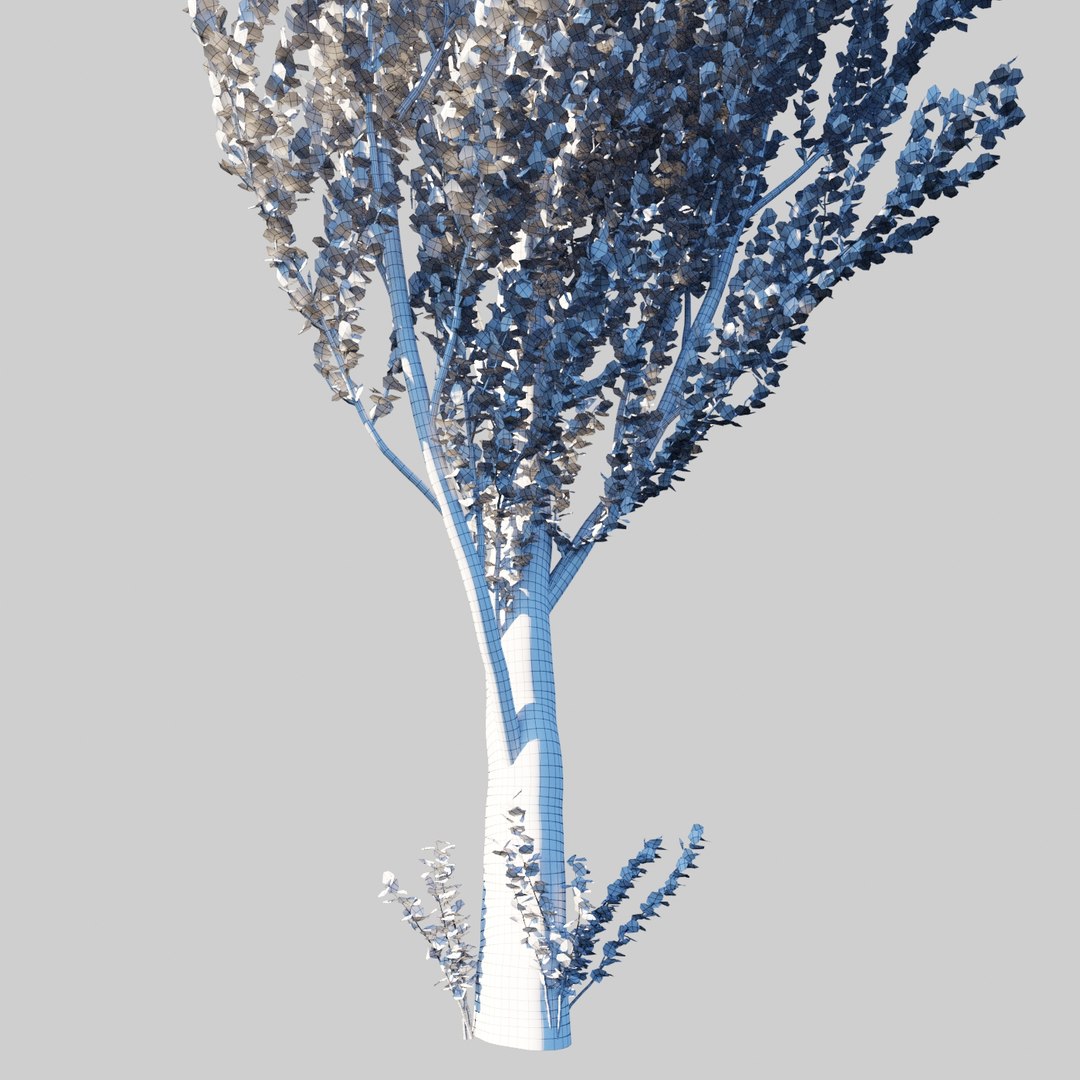 3D Populus Tree Model - TurboSquid 1462004