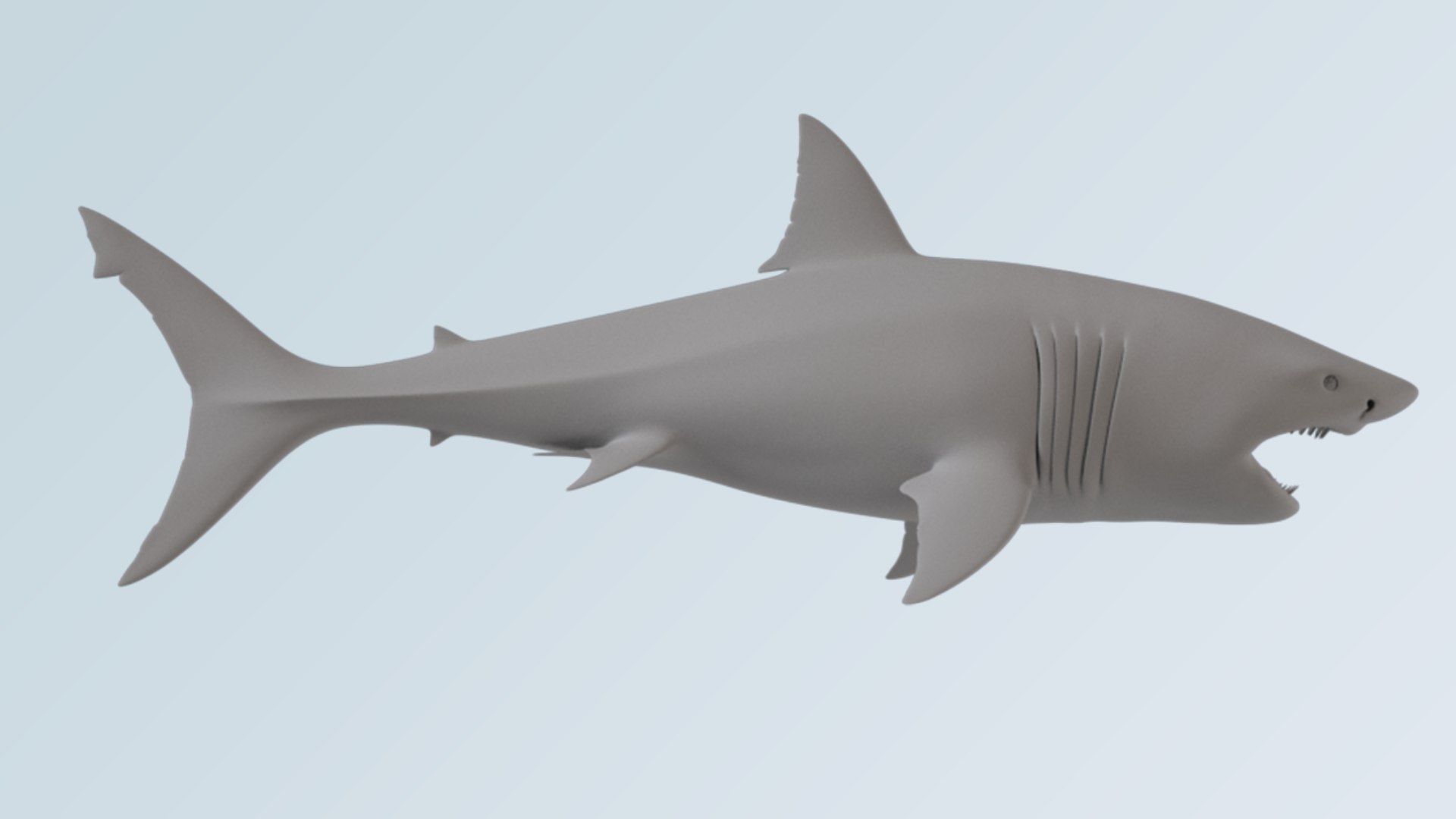 White Shark 3D Model - TurboSquid 2238092