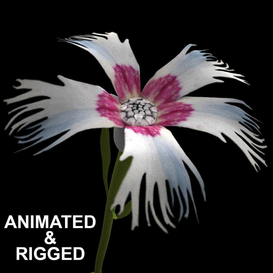 3D Flowers Open Animation - TurboSquid 1588691
