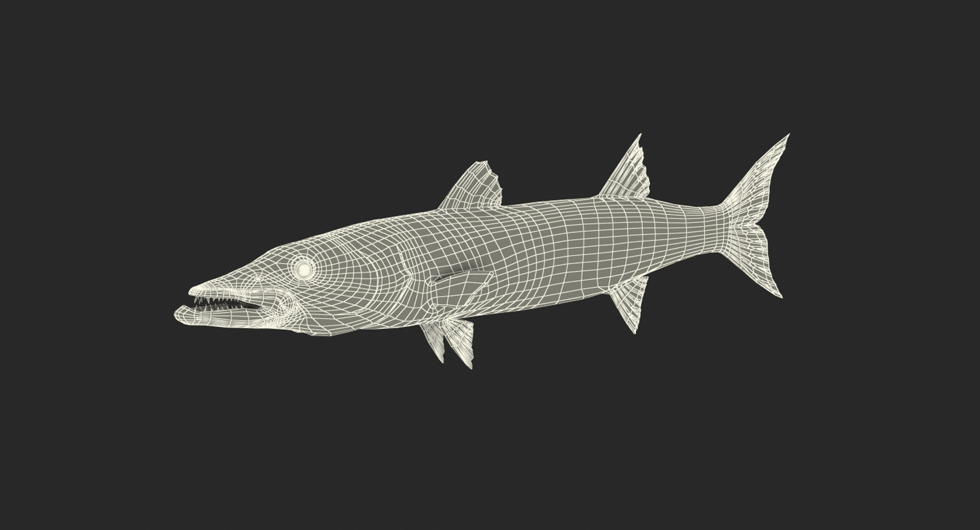 Barracuda Finding Nemo