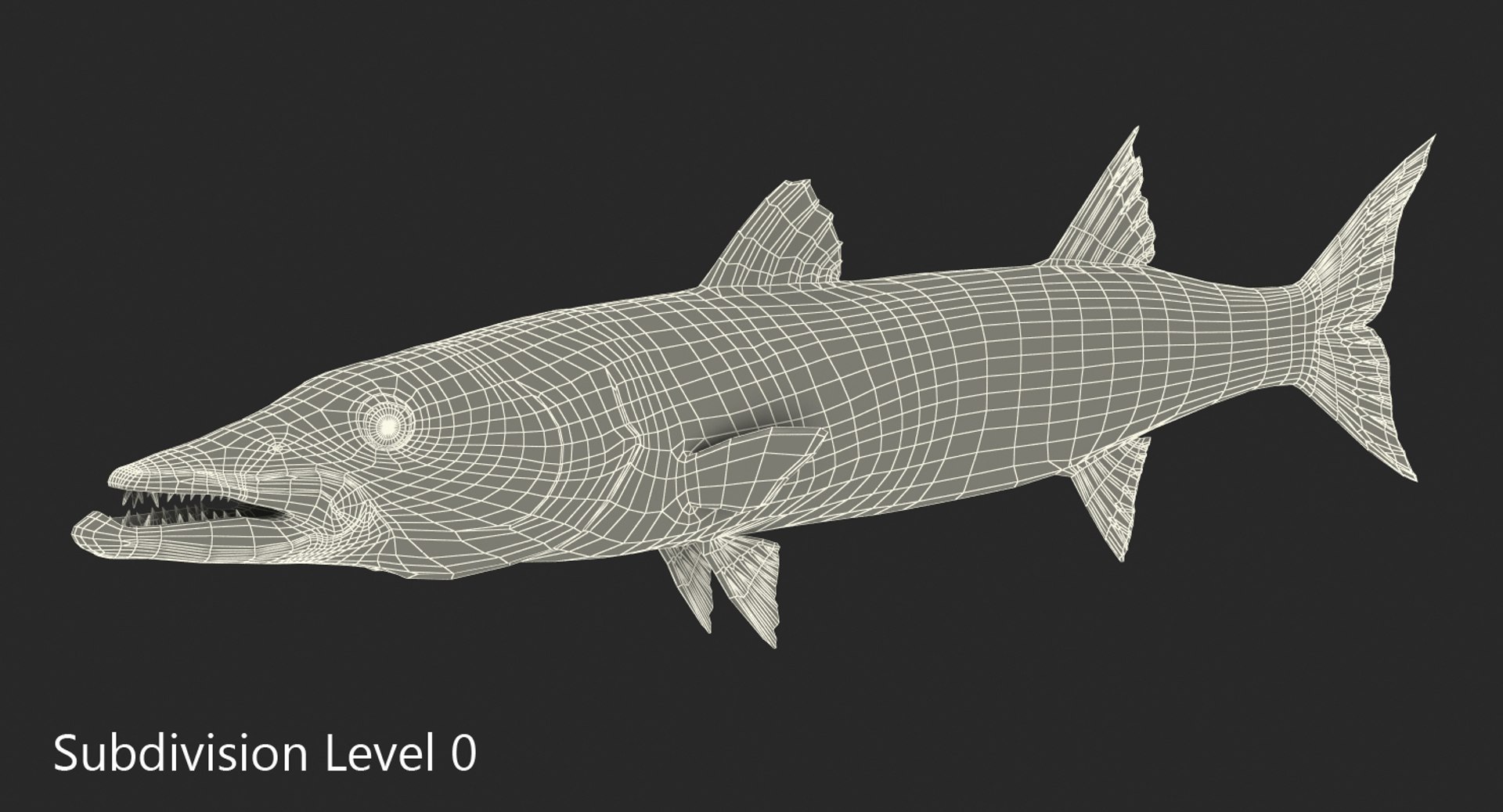 3d model barracuda fish rigged