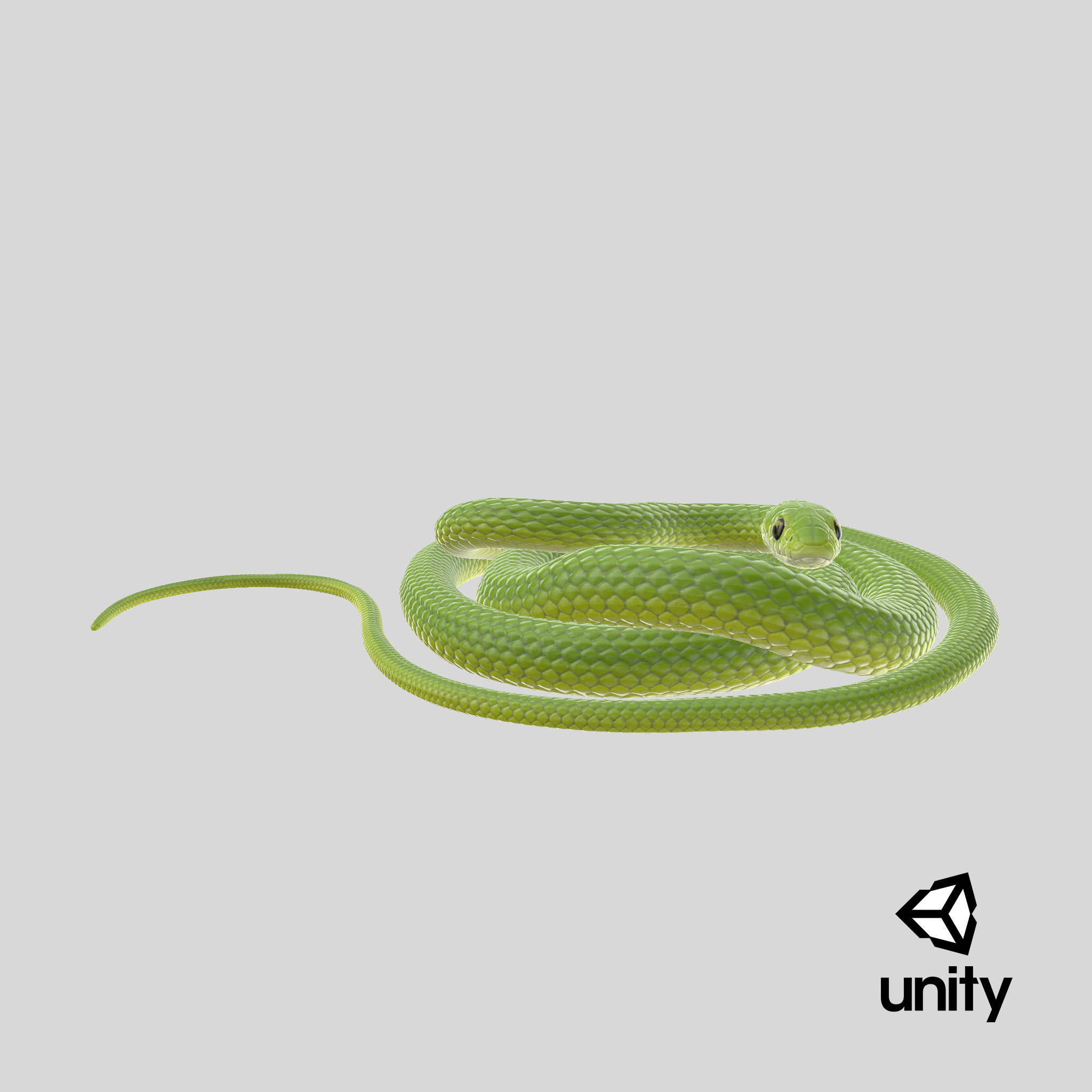 green snake 02 3d model