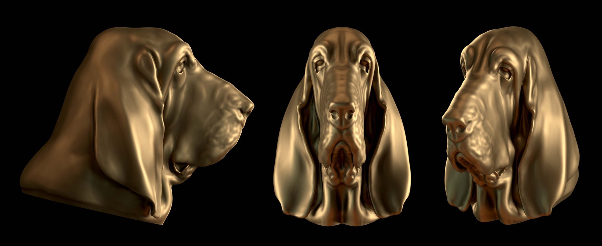 3d model dog head