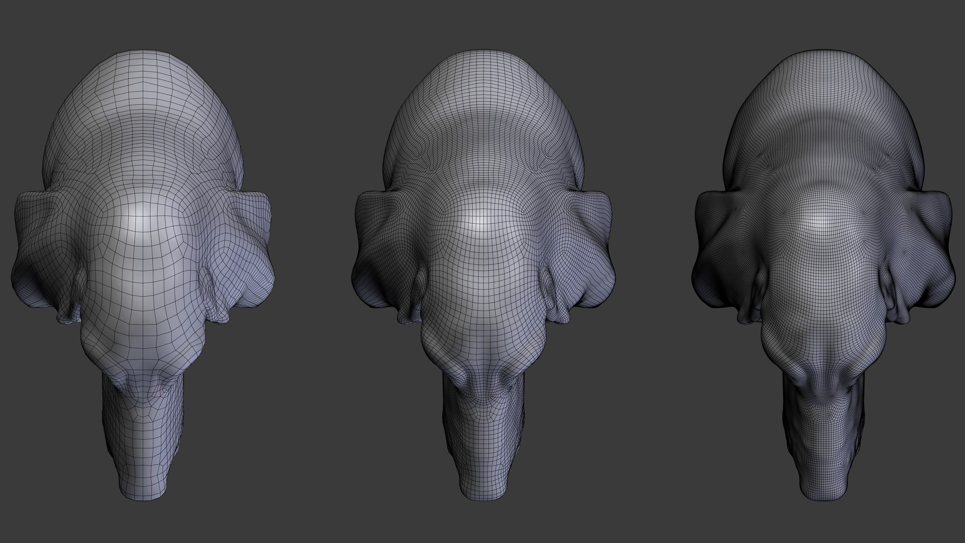 3d model dog head