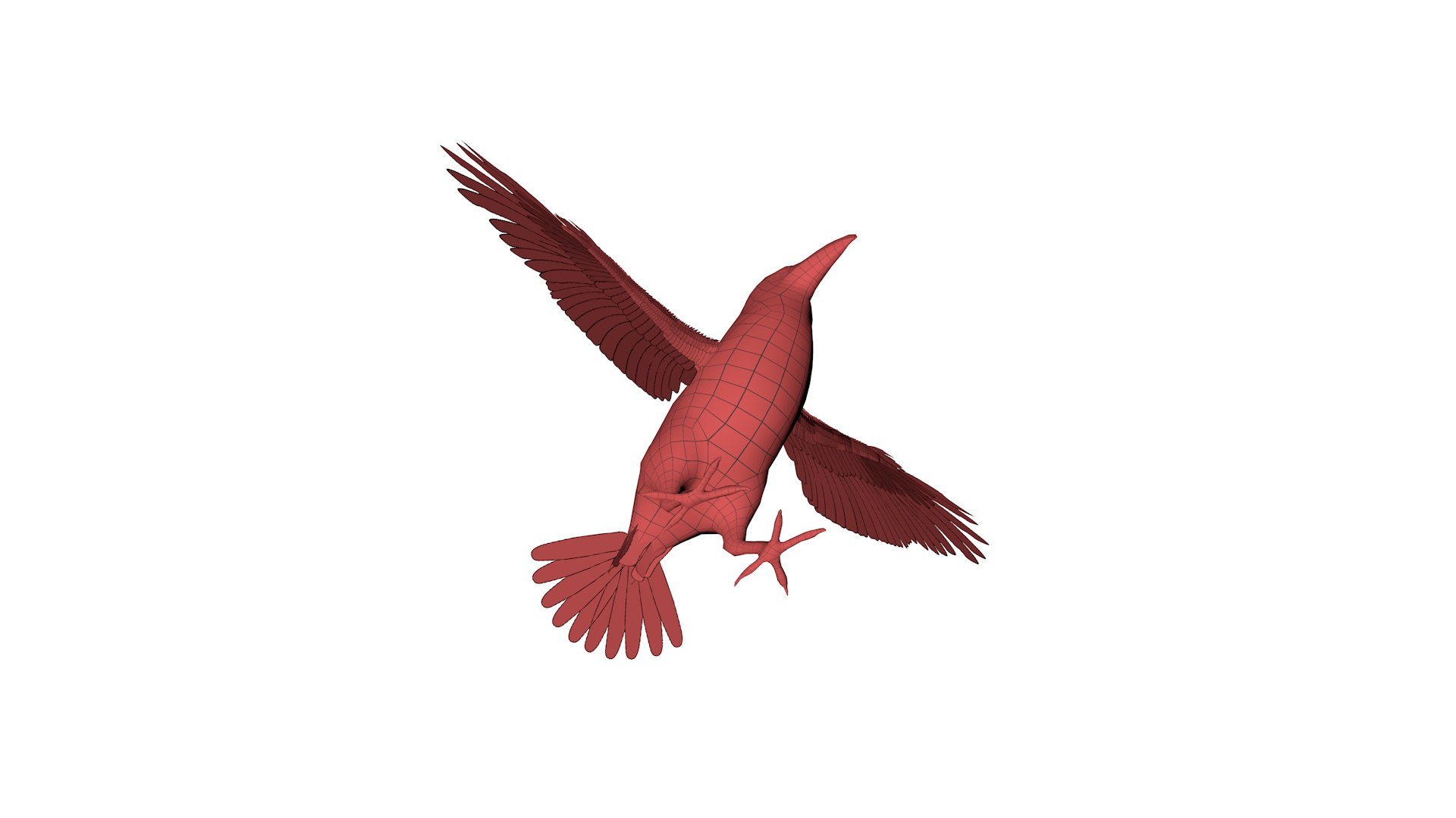 3D Mesh Crow - TurboSquid 1664085