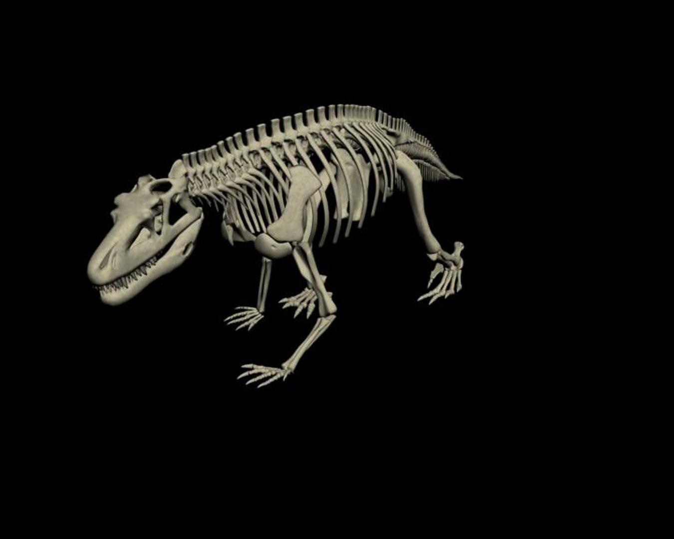 Saurosuchus Skeleton