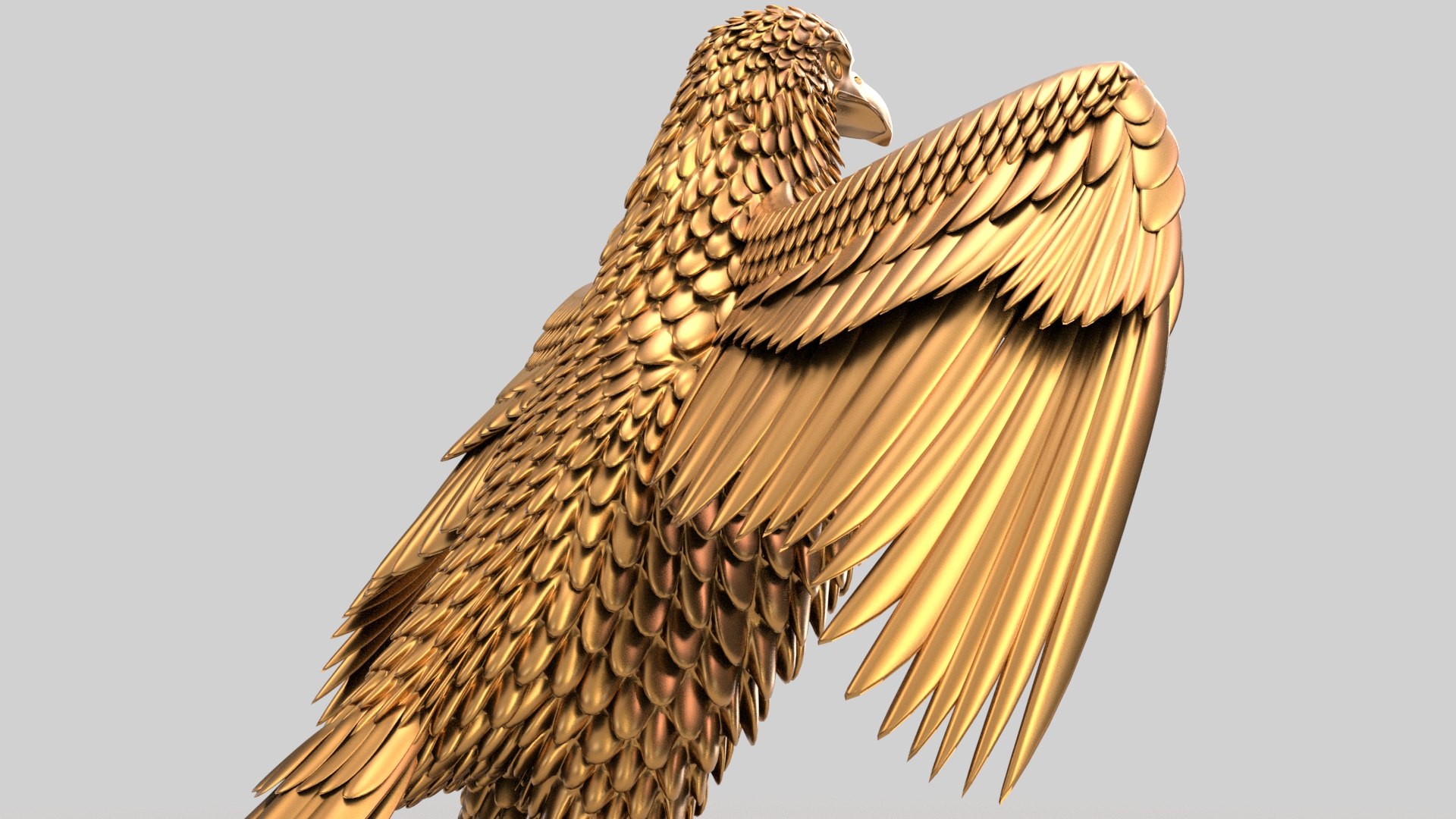3D Eagle Bird Animal - TurboSquid 1411845