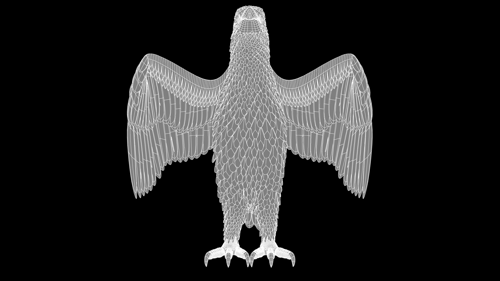 3D Eagle Bird Animal - TurboSquid 1411845