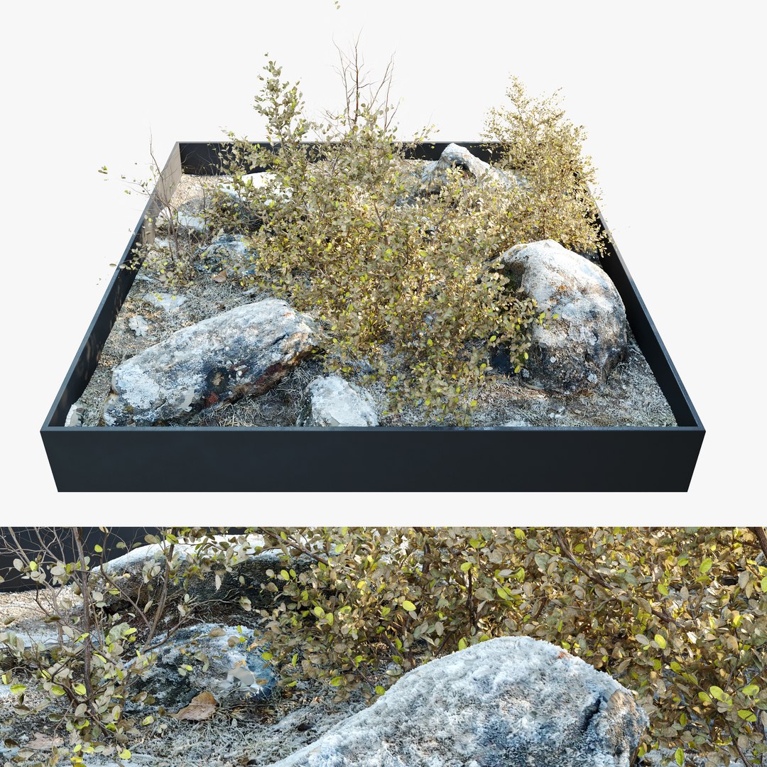3D Dry Plants In Rocky Base Model - TurboSquid 1953507