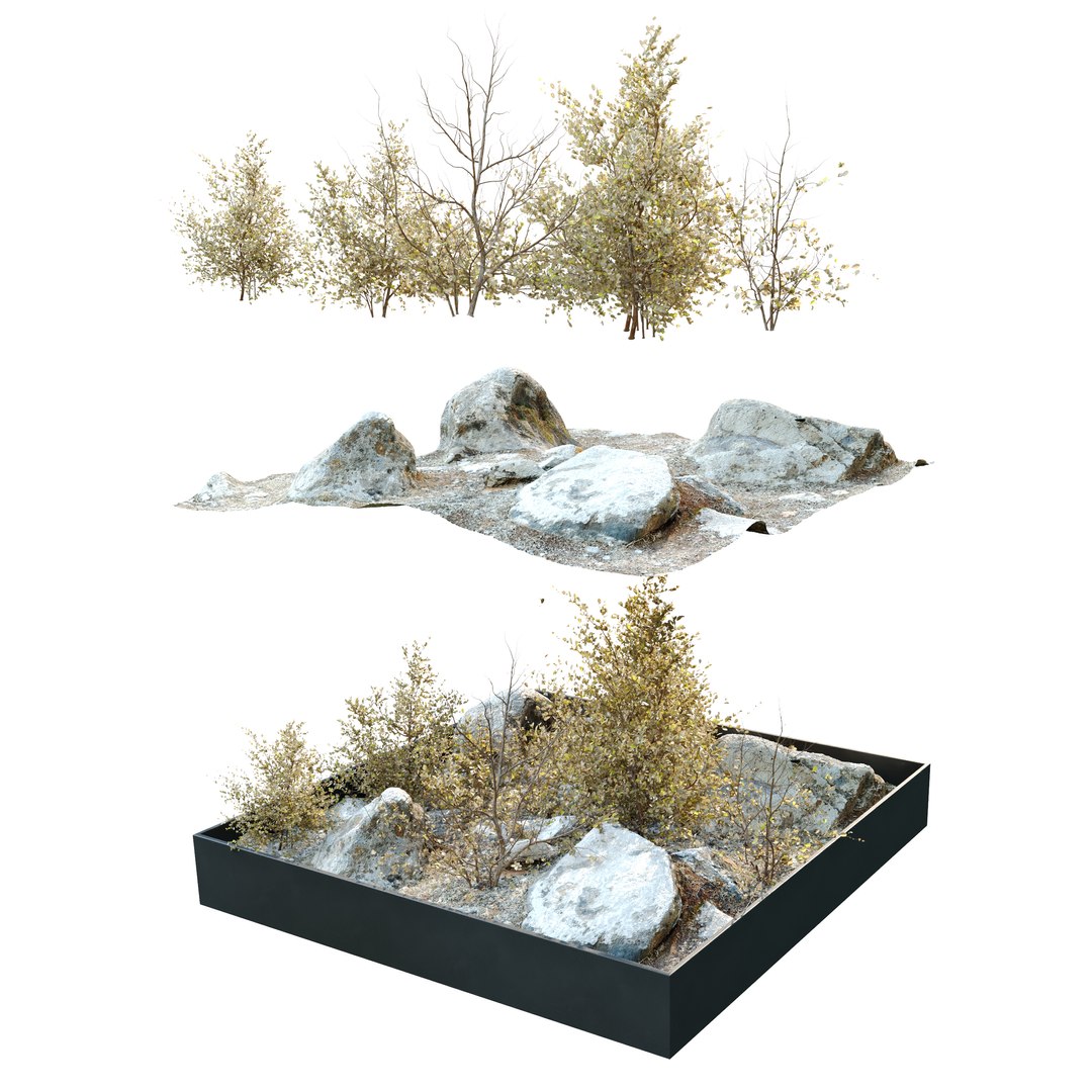 3D Dry Plants In Rocky Base Model - TurboSquid 1953507