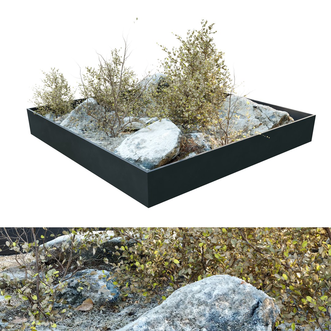 3D Dry Plants In Rocky Base Model - TurboSquid 1953507
