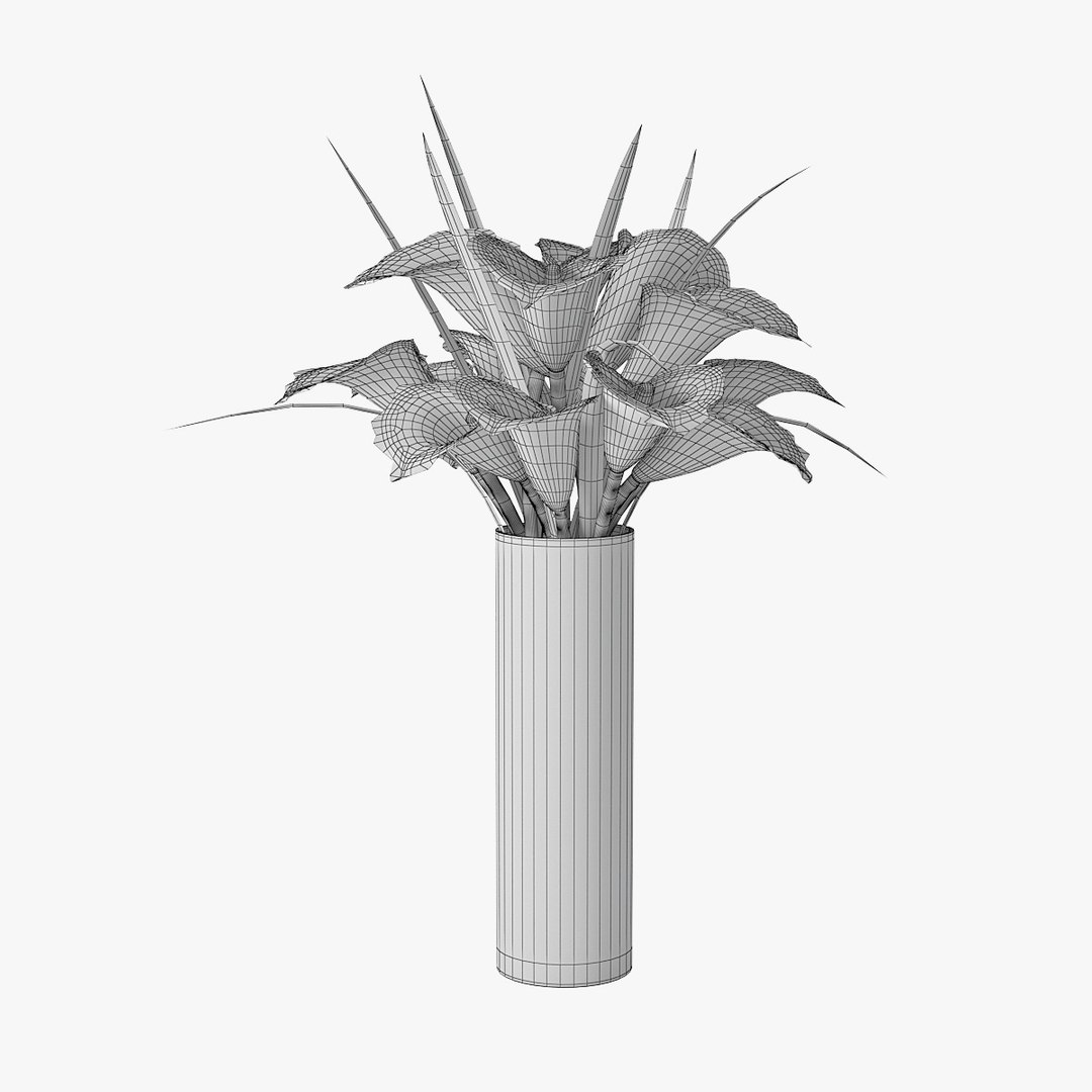3D Pink Calla Lilies Model - TurboSquid 1203709