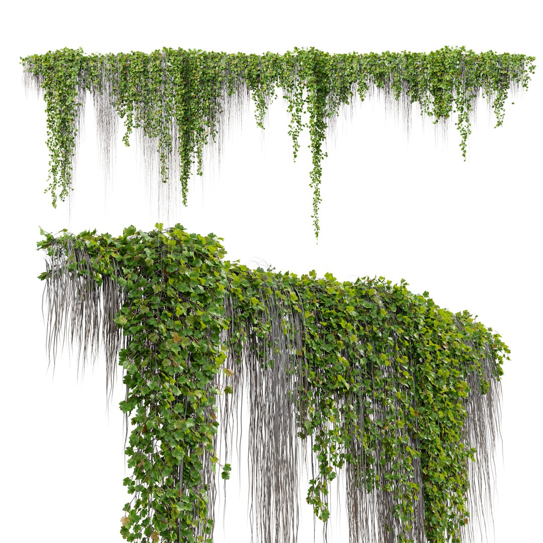 3D Model Hanging Plant 38 - TurboSquid 1972109