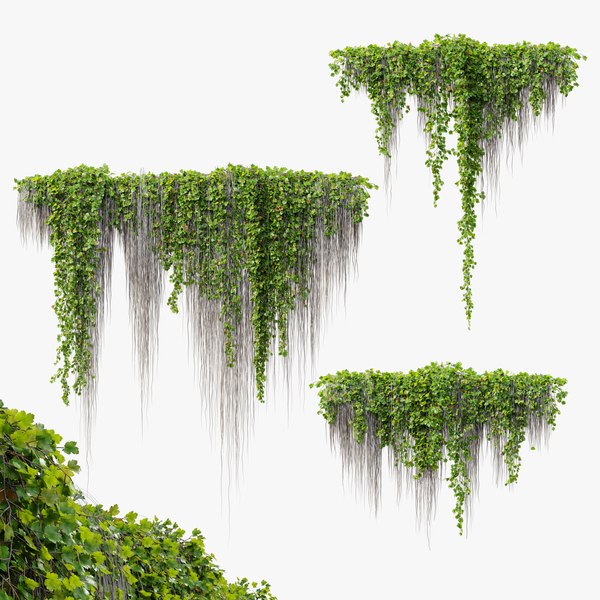 3D model Hanging Plant 38 - TurboSquid 1972109