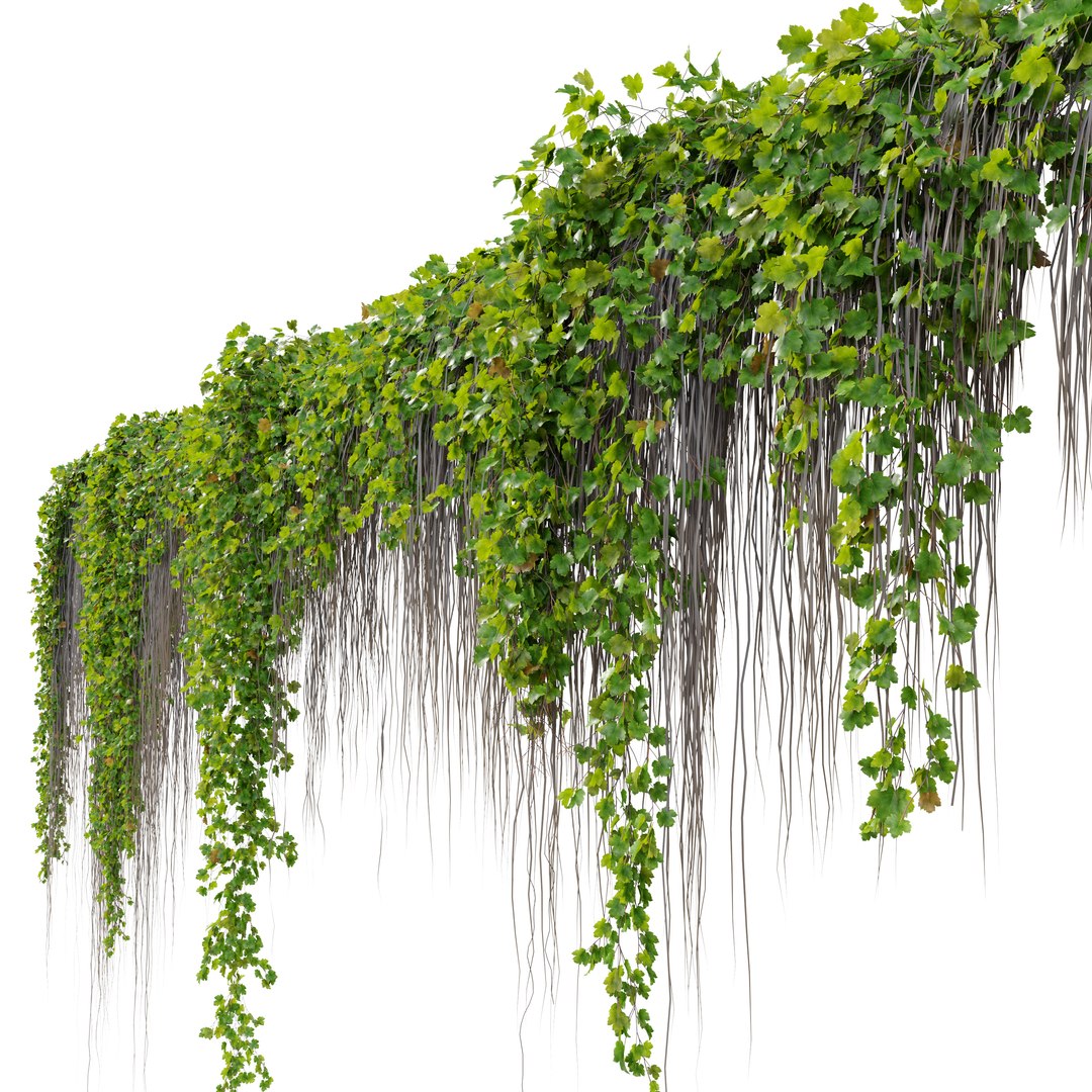 3D Model Hanging Plant 38 - TurboSquid 1972109