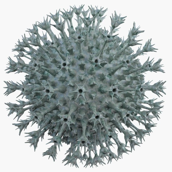 3d model micro object mht