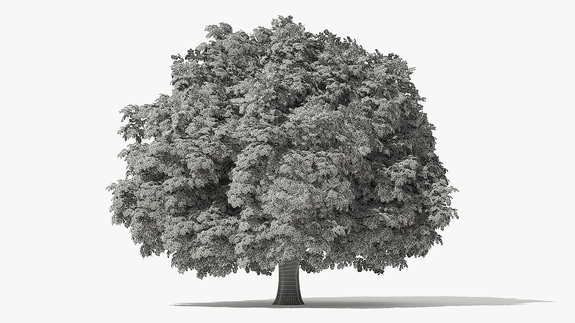 Autumn rock elm tree 3D model - TurboSquid 1464501