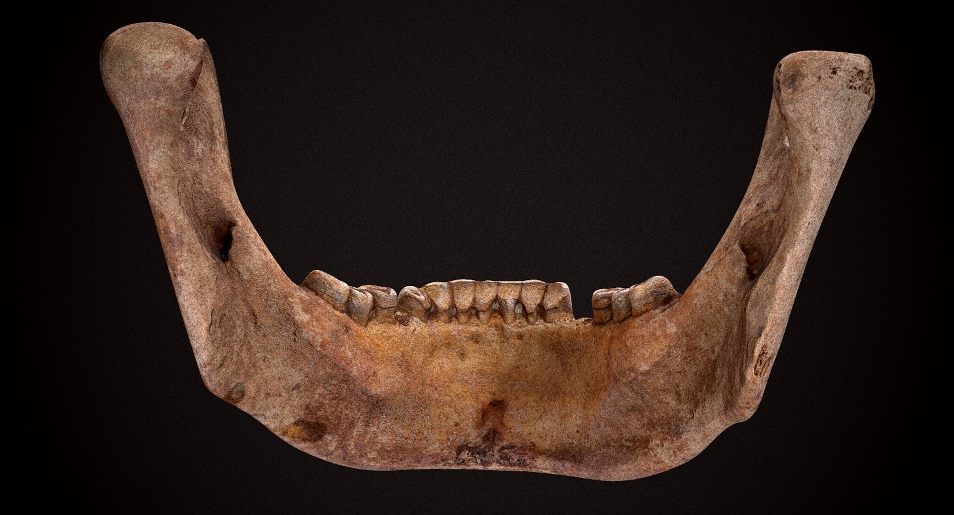 3D Real Skull - TurboSquid 1394597