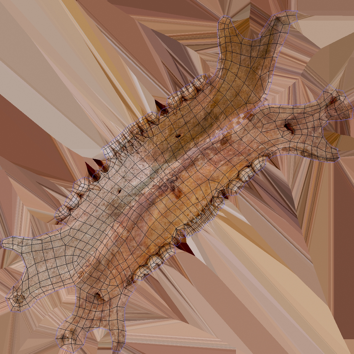 3D real skull - TurboSquid 1394597