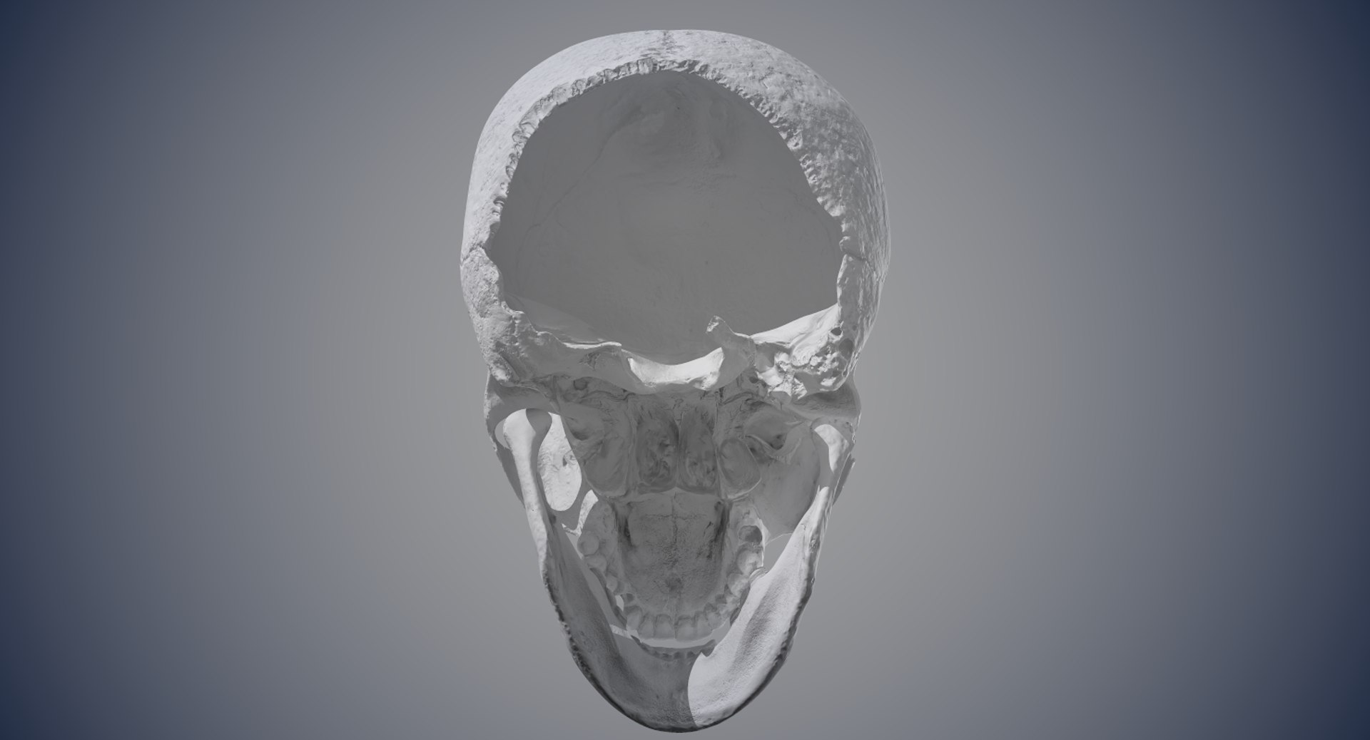 3D Real Skull - TurboSquid 1394597