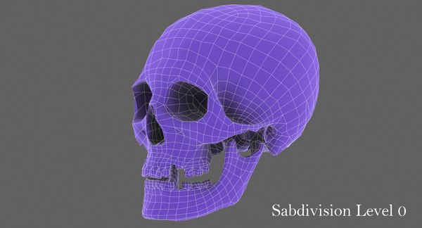 3D real skull - TurboSquid 1394597