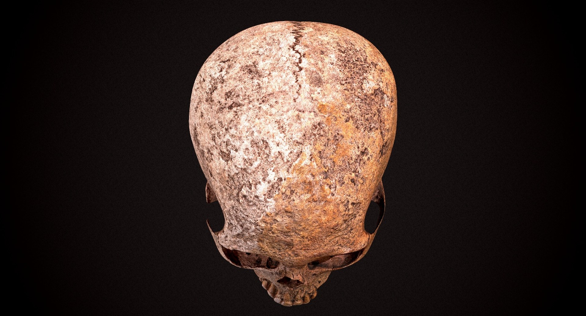 3D real skull - TurboSquid 1394597