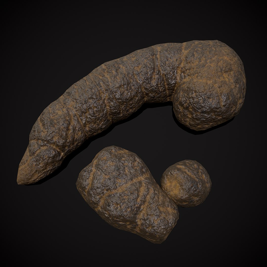 3D Dog Poop Model - TurboSquid 2197147