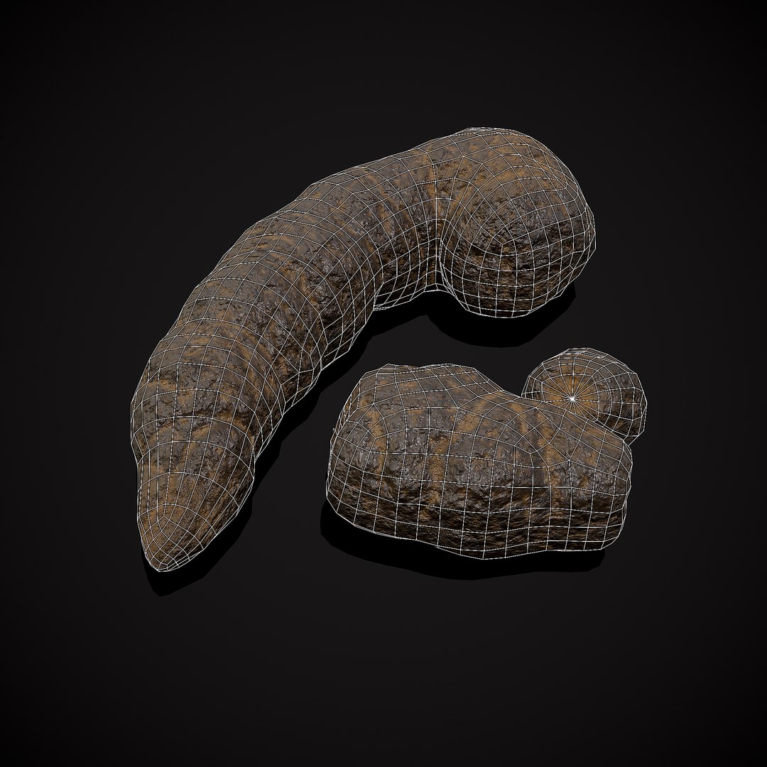 3D Dog Poop Model - TurboSquid 2197147
