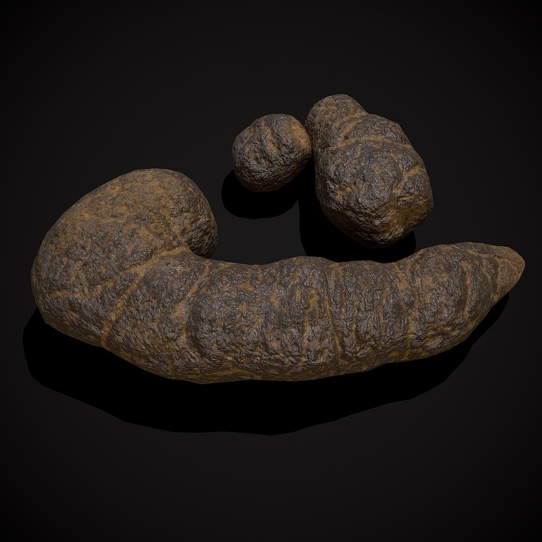 3D Dog Poop Model - TurboSquid 2197147
