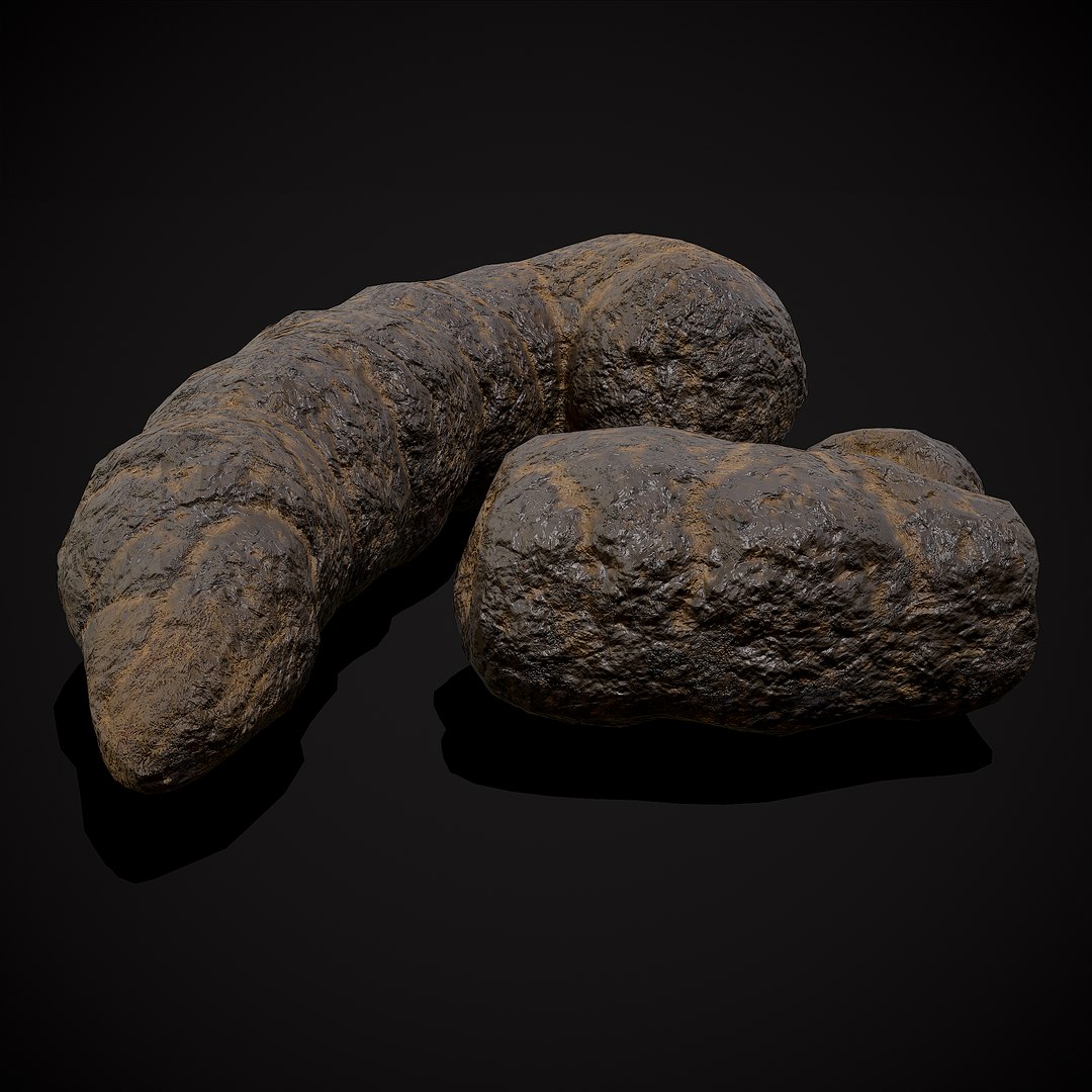 3D Dog Poop Model - TurboSquid 2197147