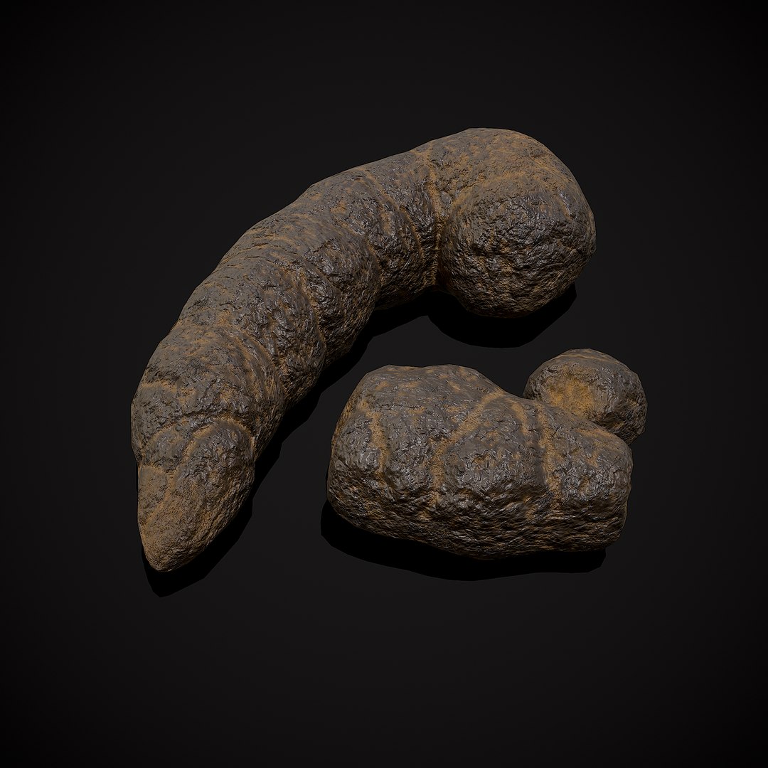 3D Dog Poop Model - TurboSquid 2197147