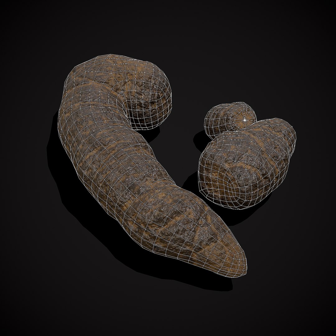 3D Dog Poop Model - TurboSquid 2197147