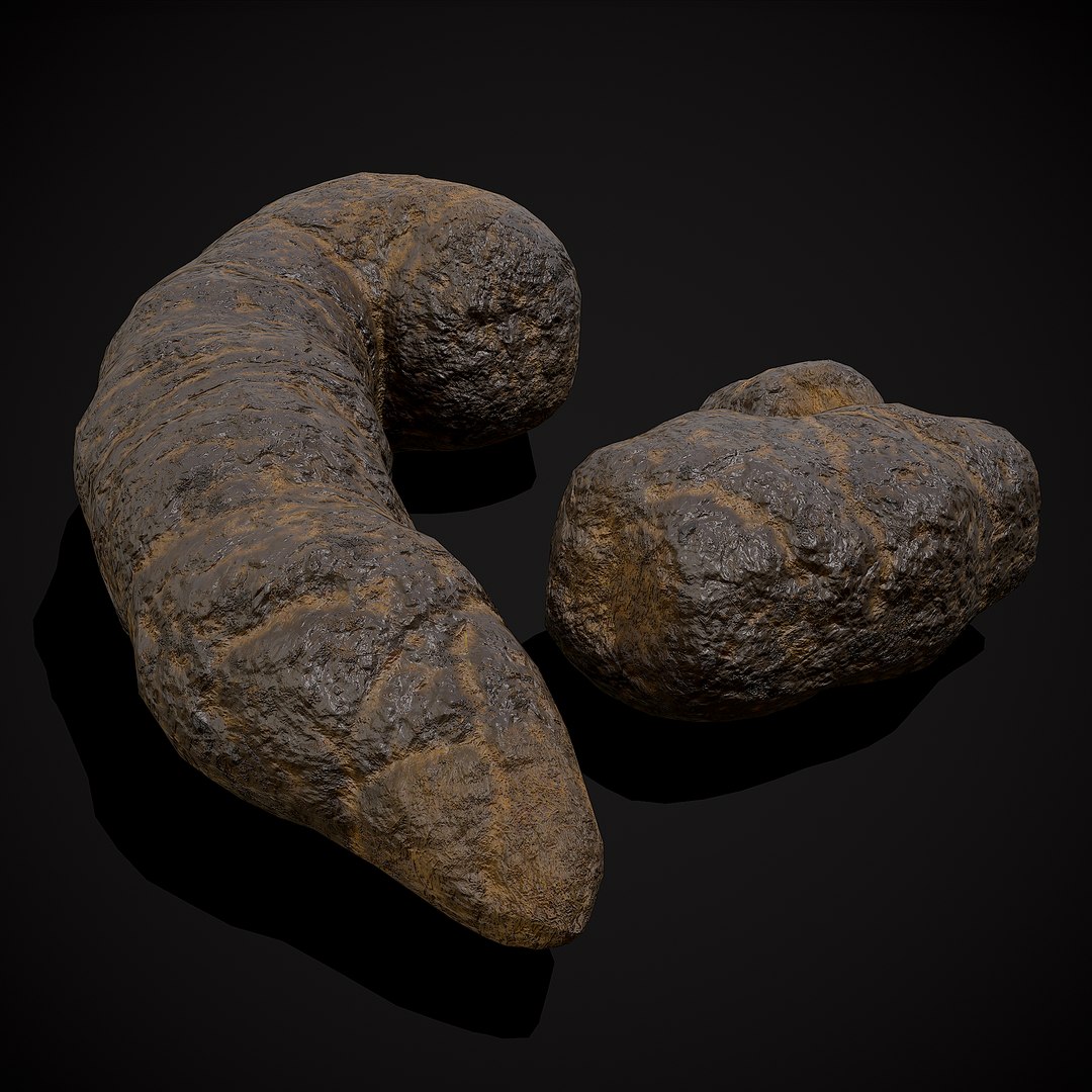 3D Dog Poop Model - TurboSquid 2197147