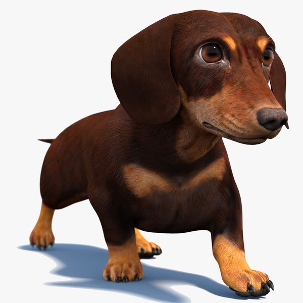 Free Animated Dog 3D Models for Download | TurboSquid