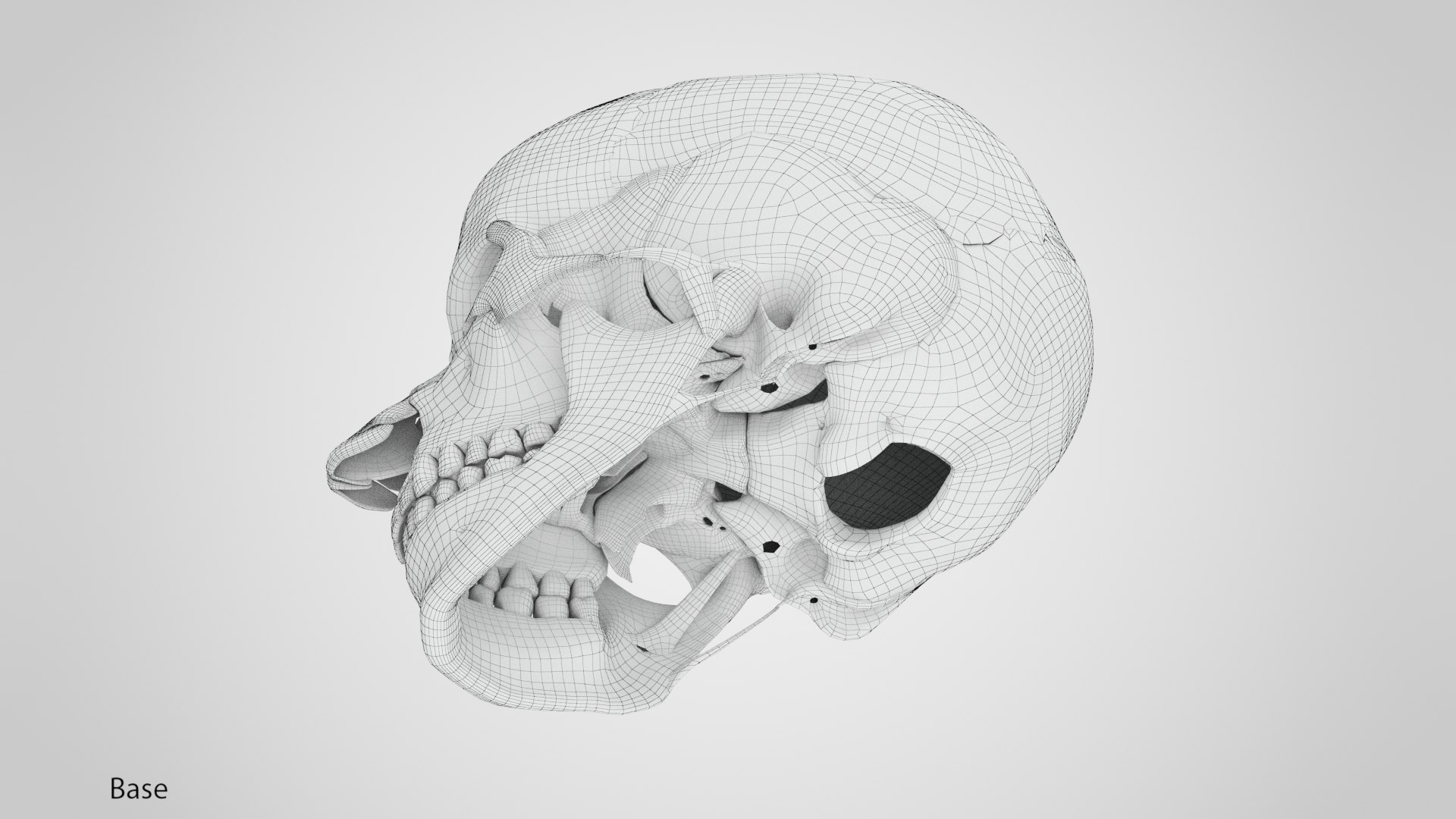 Human Skull 3D Model - TurboSquid 1814711
