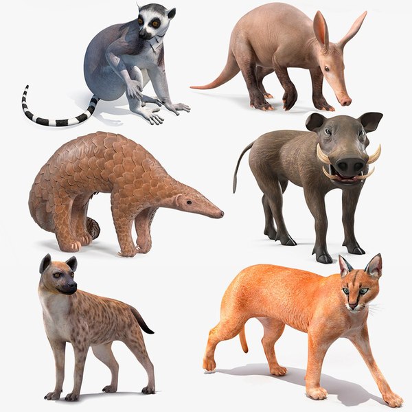 3D модель Коллекция анимированных африканских млекопитающих 3 для майя ...