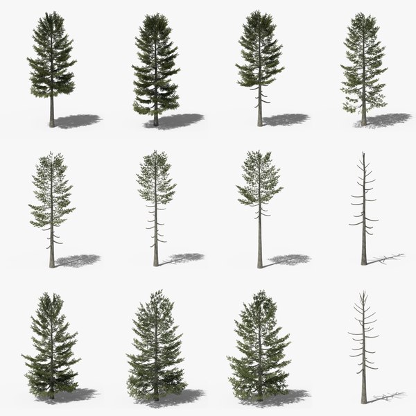 Pine Tree Blender Models for Download | TurboSquid