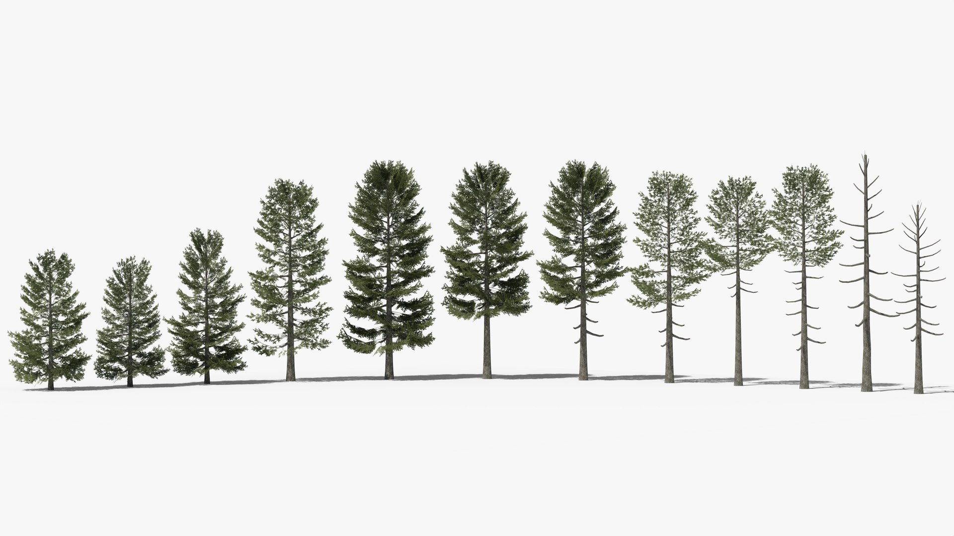 3D Model Lowpoly Pine Collection - TurboSquid 2133836