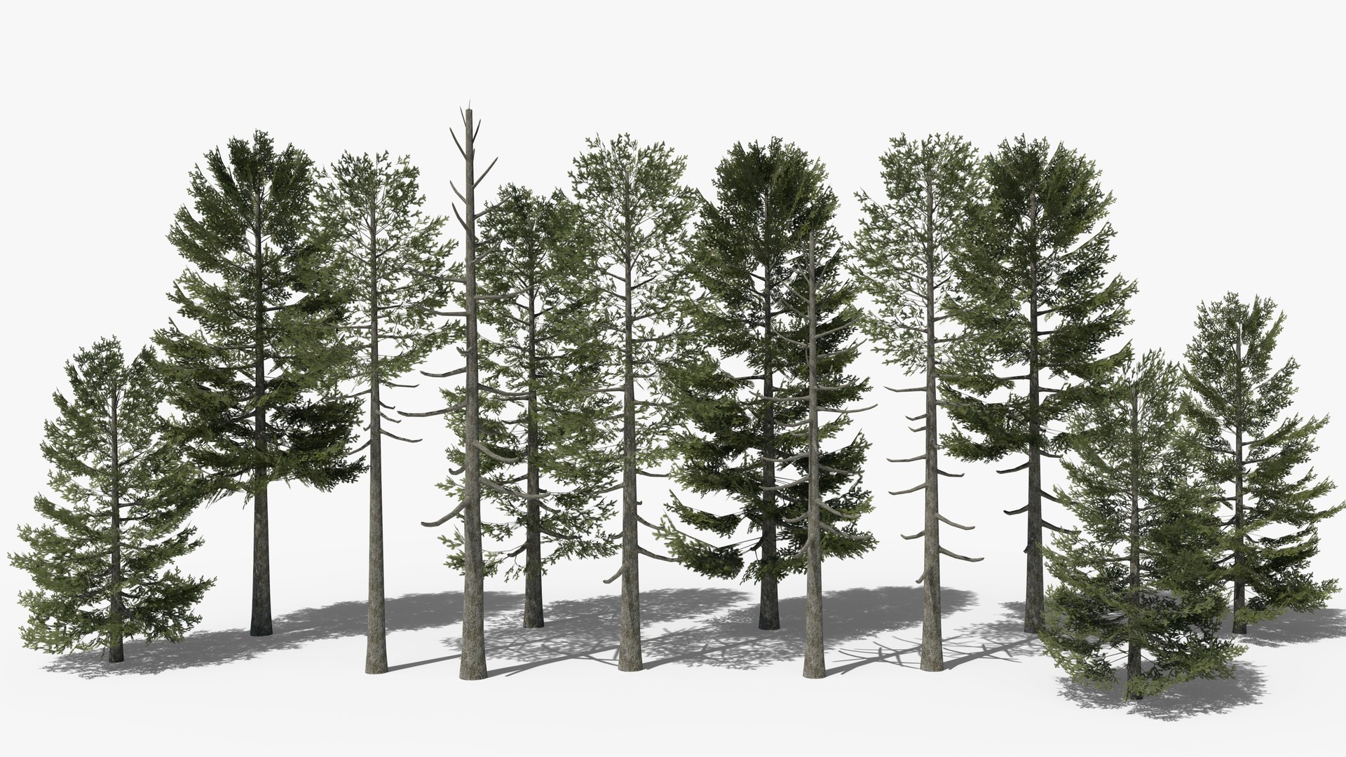 3D model Lowpoly Pine Collection - TurboSquid 2133836