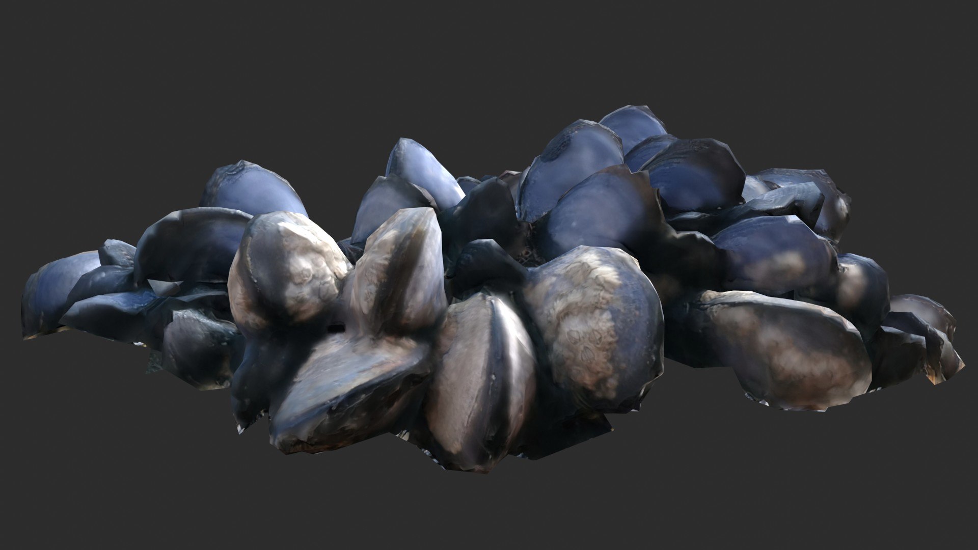 Mussels 3 3D - TurboSquid 1786408