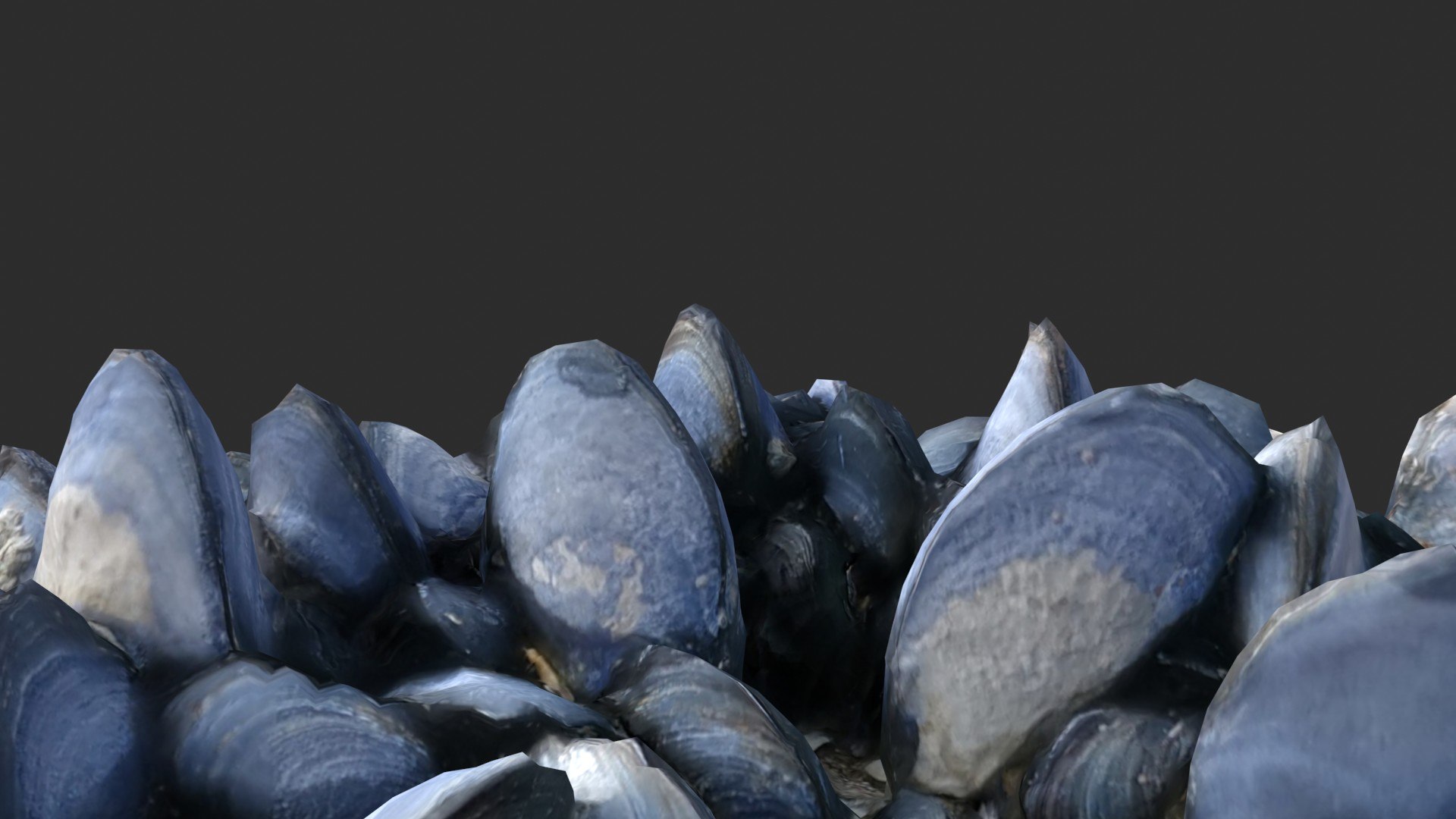 Mussels 3 3D - TurboSquid 1786408