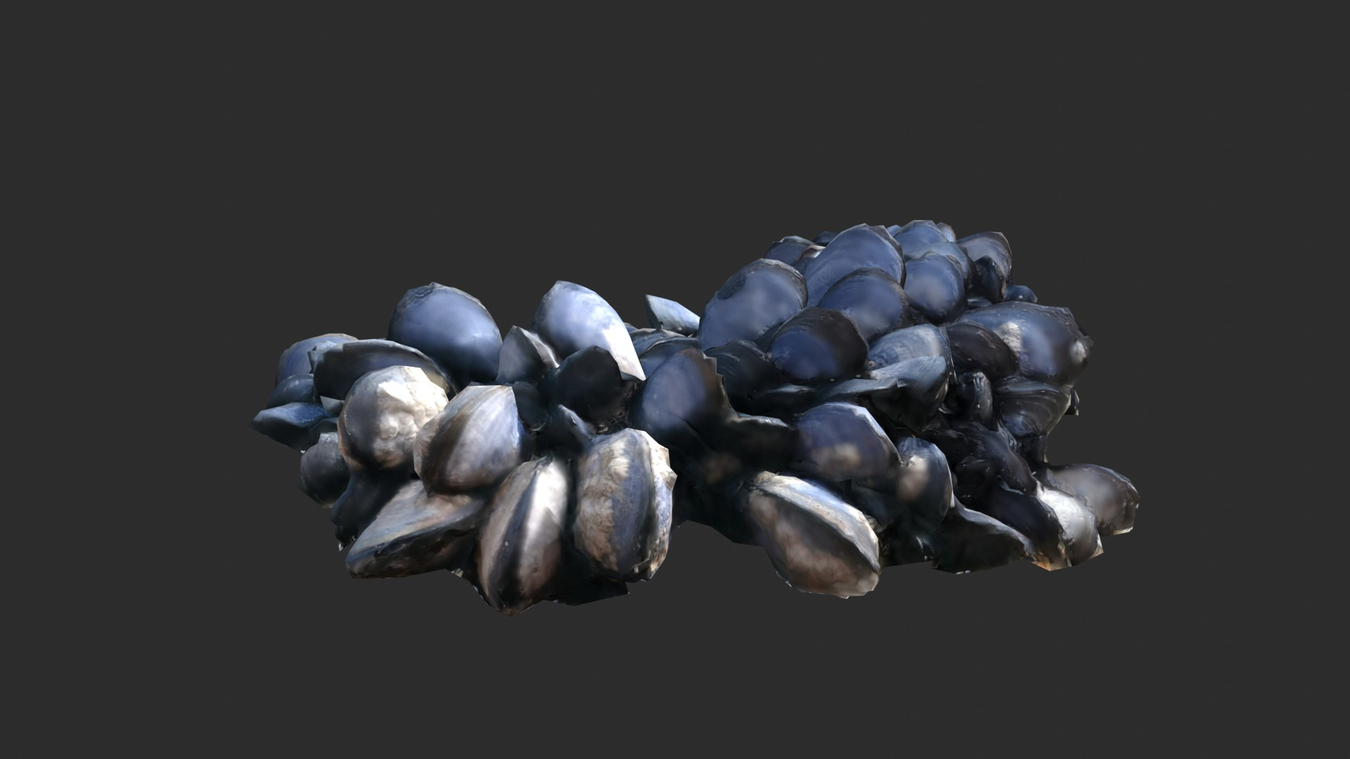 Mussels 3 3D - TurboSquid 1786408