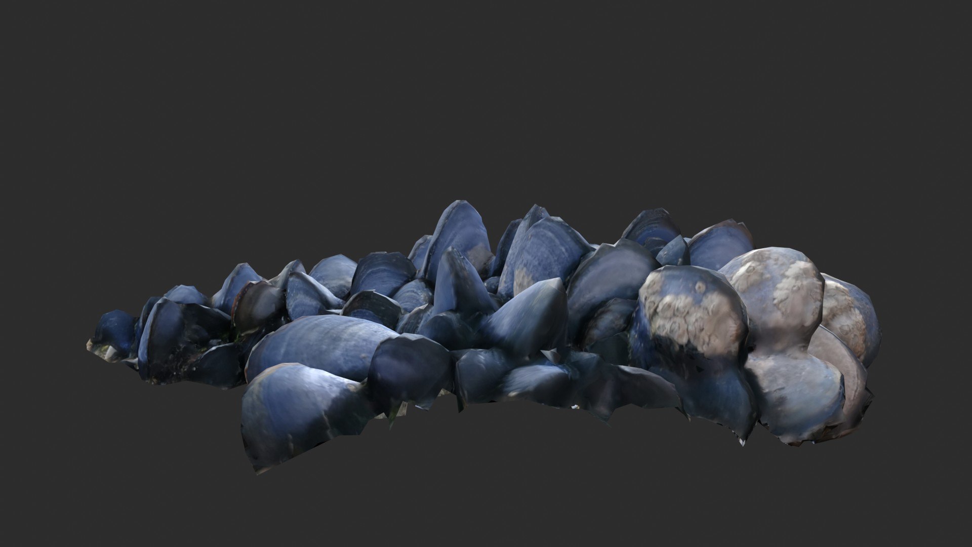 Mussels 3 3D - TurboSquid 1786408