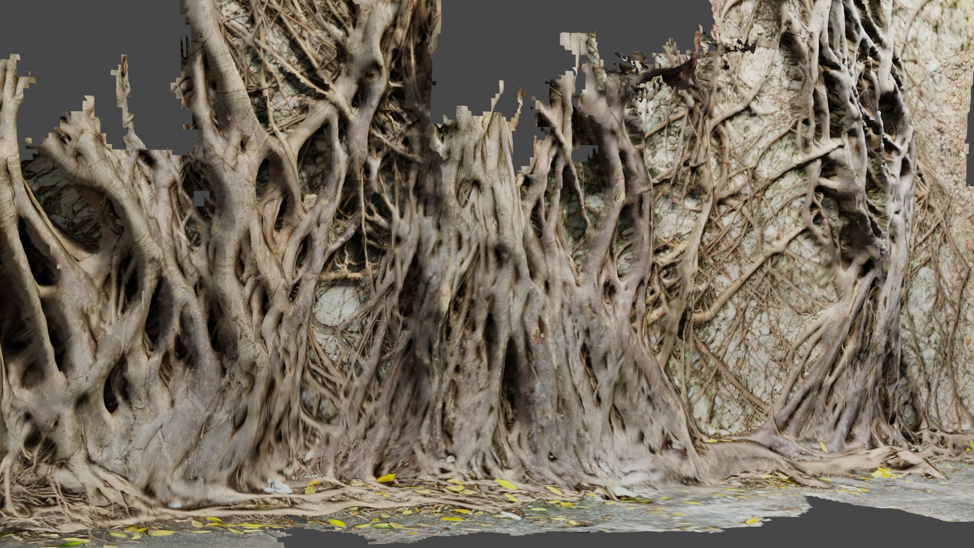 Roots In A Wall Lidar Scan 3D - TurboSquid 1909929