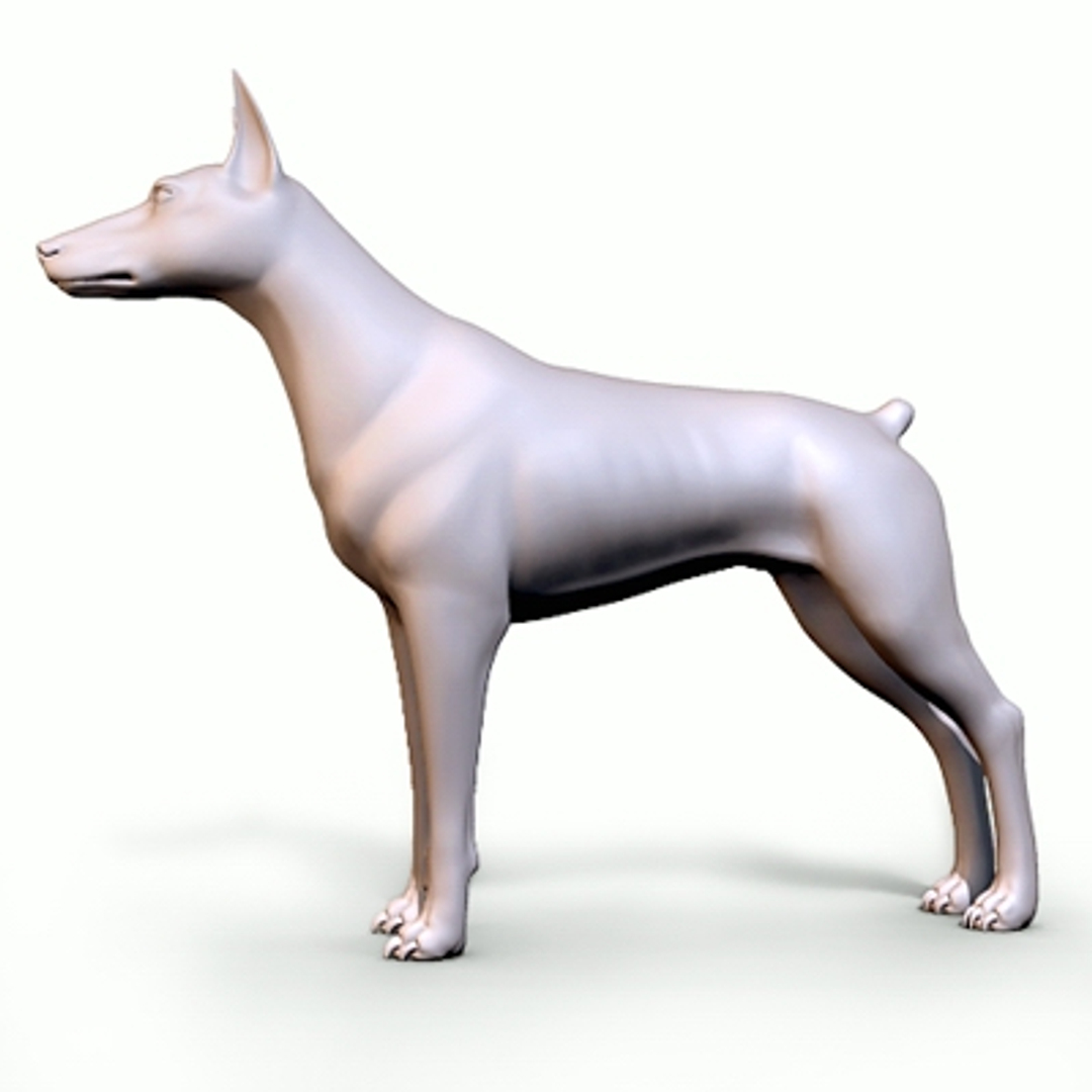 doberman 3d model
