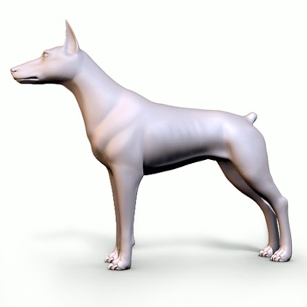 modelo 3d PERRO - TurboSquid 298156