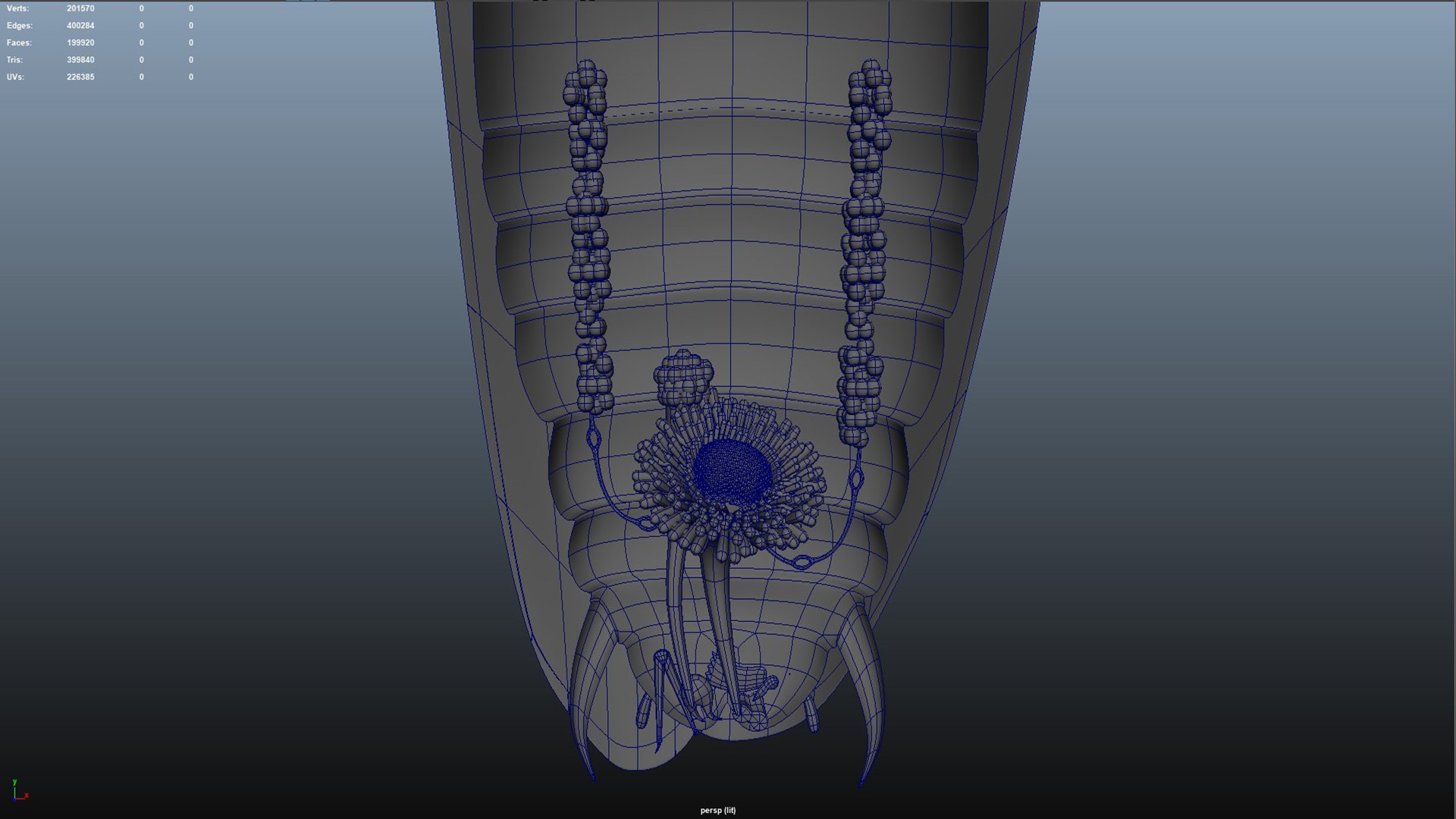 Male Reproductive System Of Cockroach 3D Model - TurboSquid 1856575